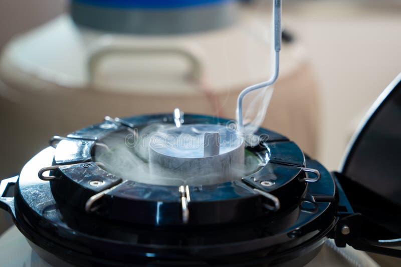 Artificial Insemination Concept, Containing Straws for Impregnating ...