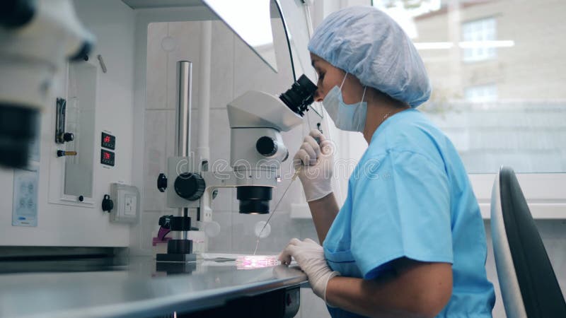 Artificial Insemination in a Modern Medical Laboratory. Laboratory ...