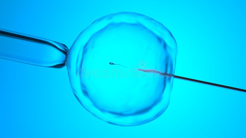 Artificial Insemination or in Vitro Fertilization, 3D-rendering Stock ...