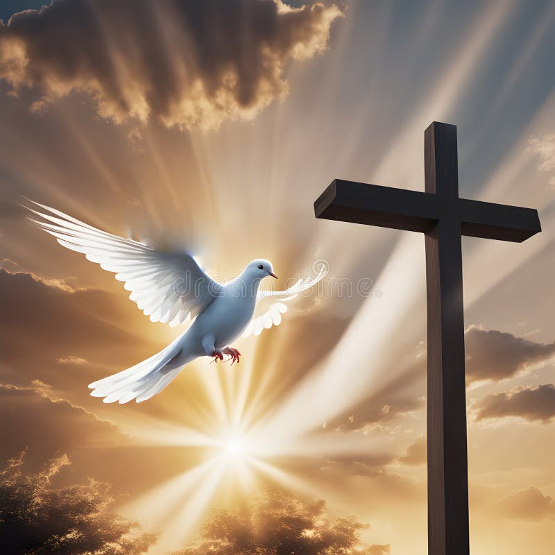 Image of a White Dove Flying on Sky at Different Weather Sky for ...