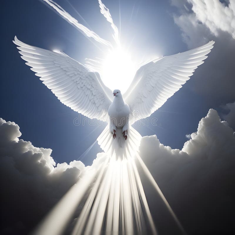 Image of a White Dove Flying on Sky at Different Weather Sky for ...