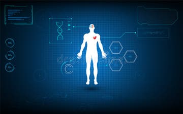 Artificial Intelligence Scanning Body Human Technology Concept Stock ...