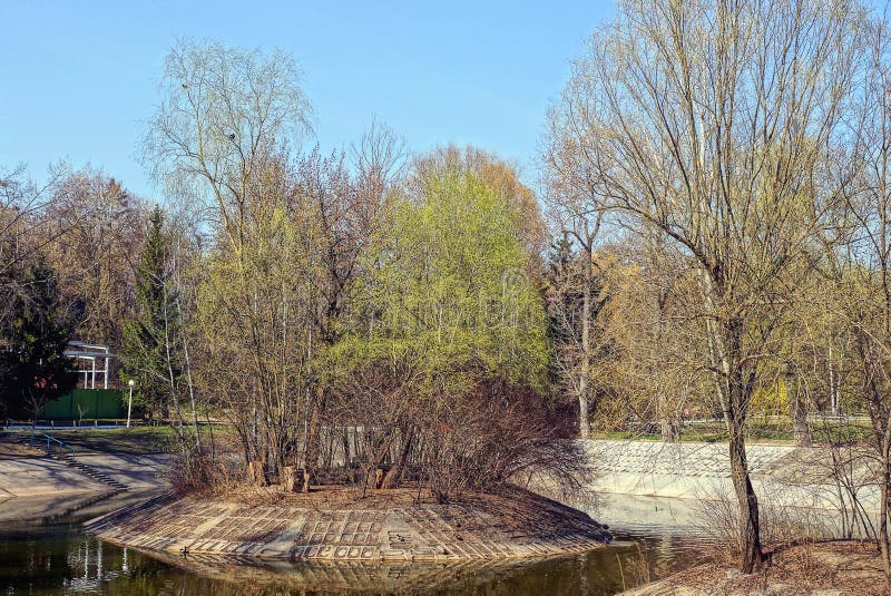 Artificial Island in the Pond in the Park Stock Photo - Image of ...