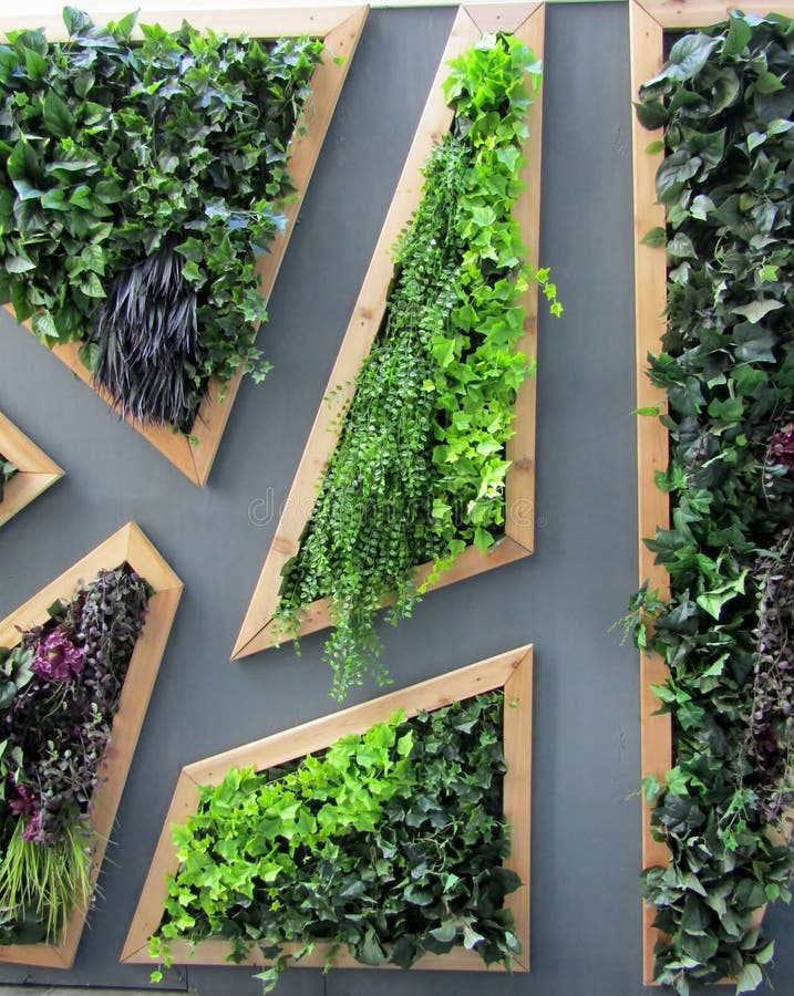 218 Artificial Ivy Plants Stock Photos - Free & Royalty-Free Stock ...