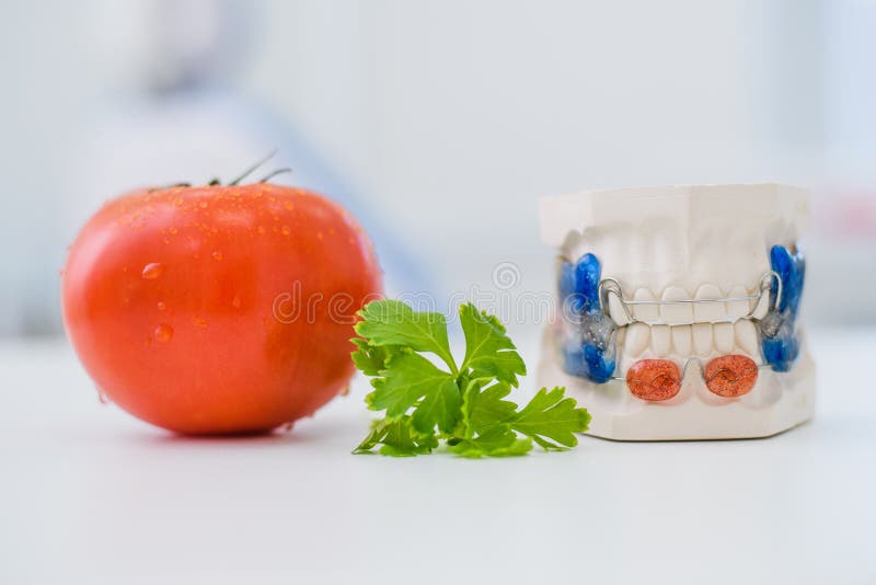 Artificial Jaws with a Staple Lie Next To Tomato Stock Photo - Image of ...