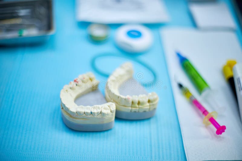 Artificial Jaws on Table in Dentist Office, Focus Stock Photo - Image ...