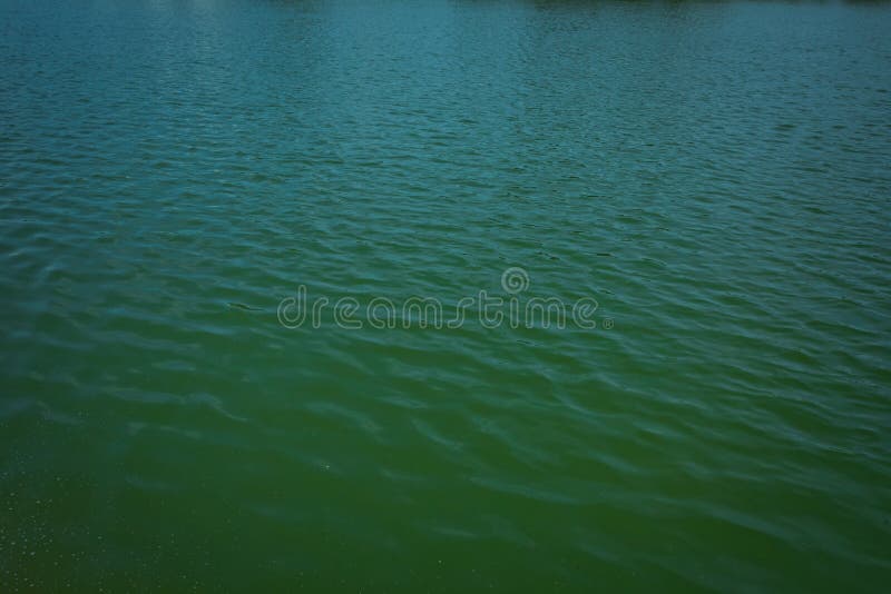 Surface and Texture of Water in Small Lake . Background of the Surface ...