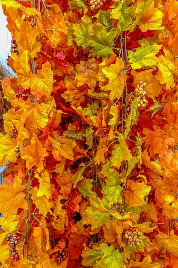 Artificial Leaves on Display in Craft Store Stock Photo - Image of ...
