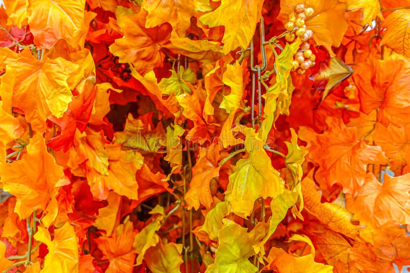 Artificial Leaves on Display in Craft Store Stock Image - Image of gold ...