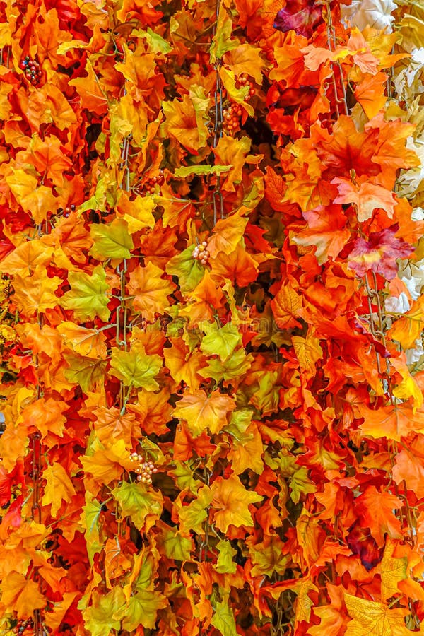 Artificial Leaves on Display in Craft Store Stock Photo - Image of ...