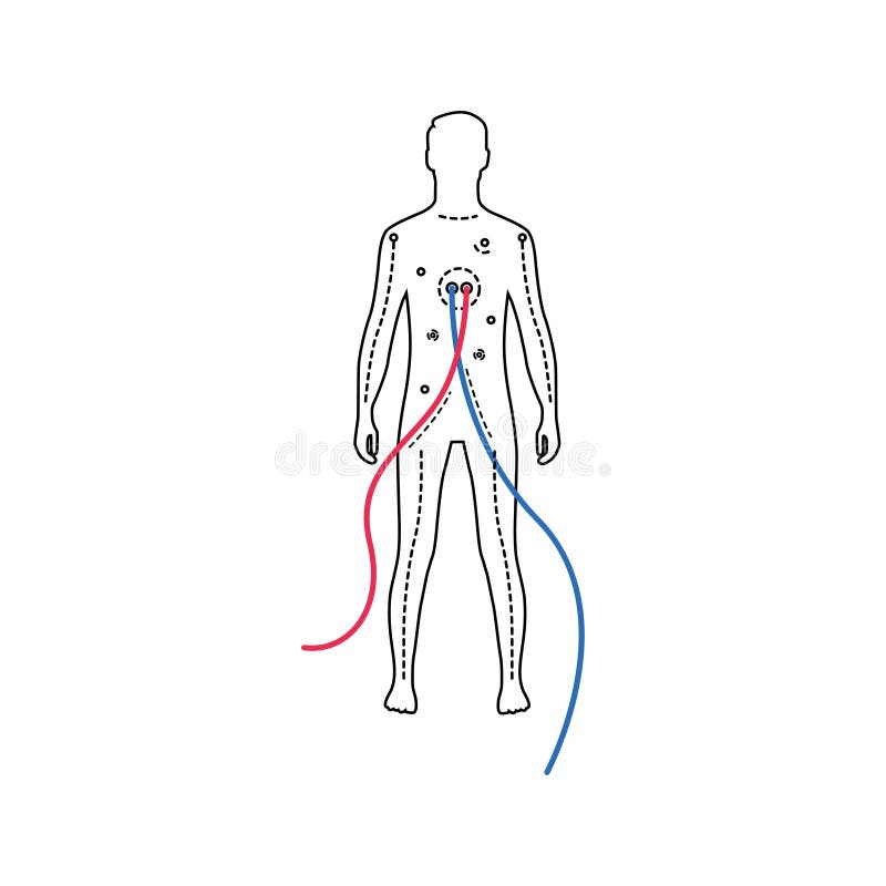 Vital Systems Stock Illustrations – 104 Vital Systems Stock ...