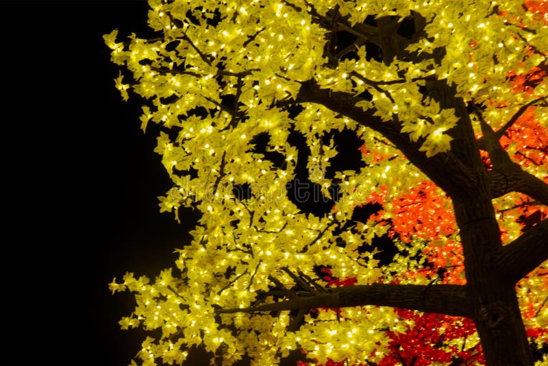 Artificial Light Based Fall - Modern Light Show Stock Photo - Image of ...