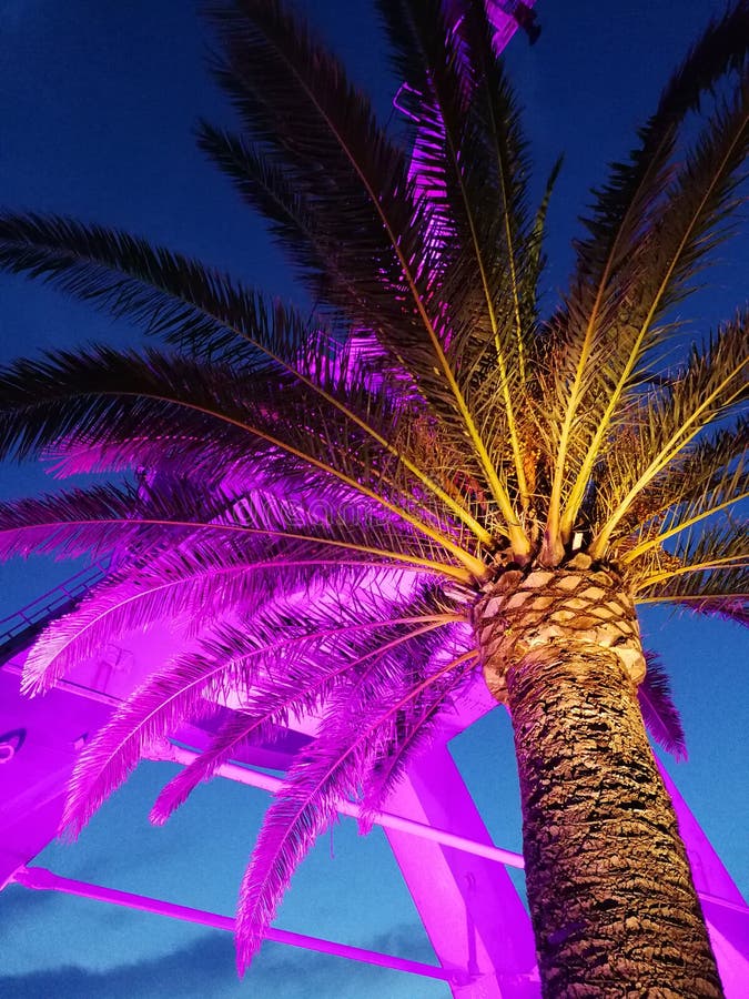 Artificial Light Charges Reality Based on Day Light Stock Image - Image ...