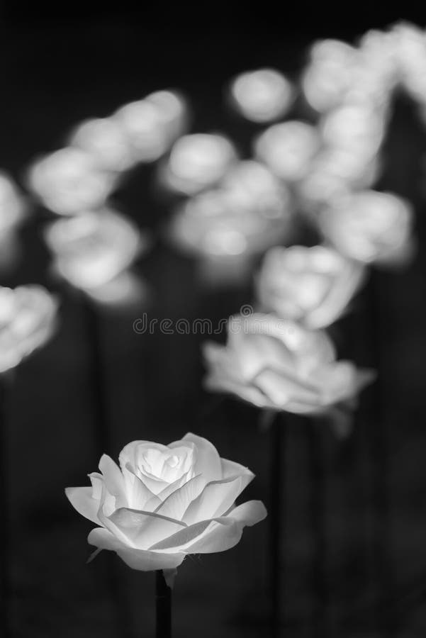 Artificial Light Flower Background Stock Image - Image of artificial ...