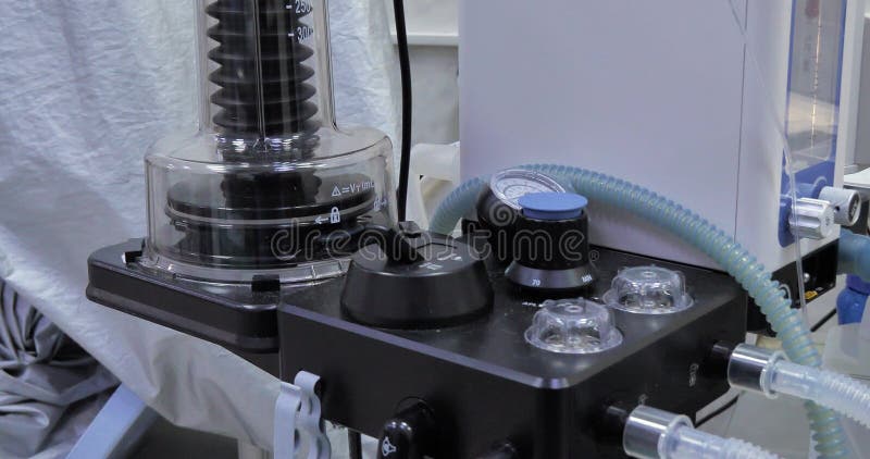 A Veterinary Anesthesiologist Intubates a Dog before Surgery. Preparing ...