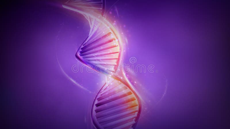 Double-stranded Helix DNA Model on Violet Background, 3D Render. Stock ...