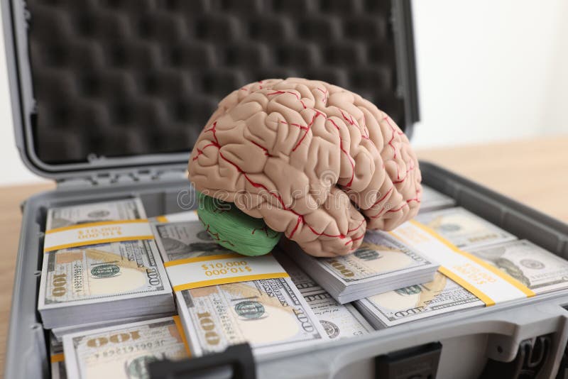 Artificial Model of Human Brain Lying on Stacks of Money Stock Image ...