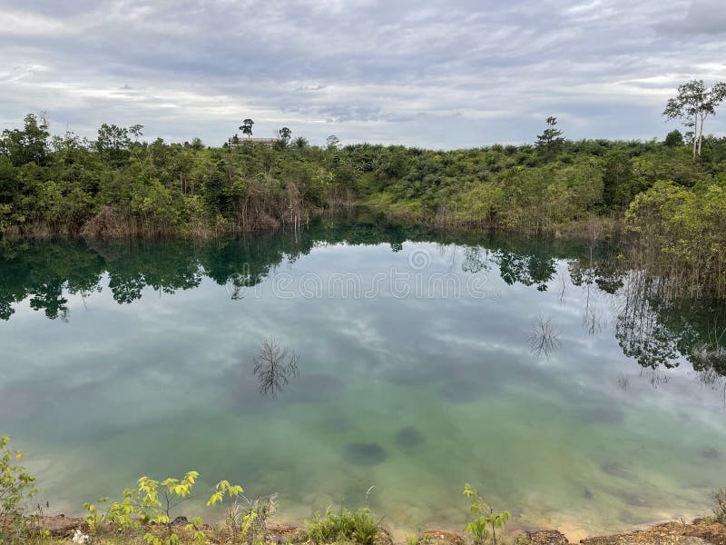 Artificial Nature Mini Lake Stock Photo - Image of lake, nature: 262286460