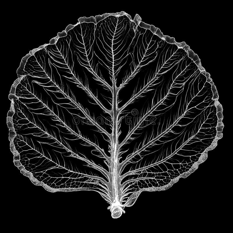 Artificial Nature Stippling Stock Illustration - Illustration of ...