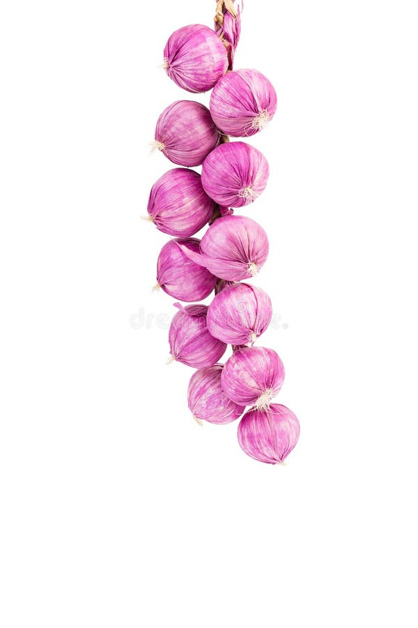 Artificial Plait of Red Onions. Stock Image - Image of healthy, fresh ...