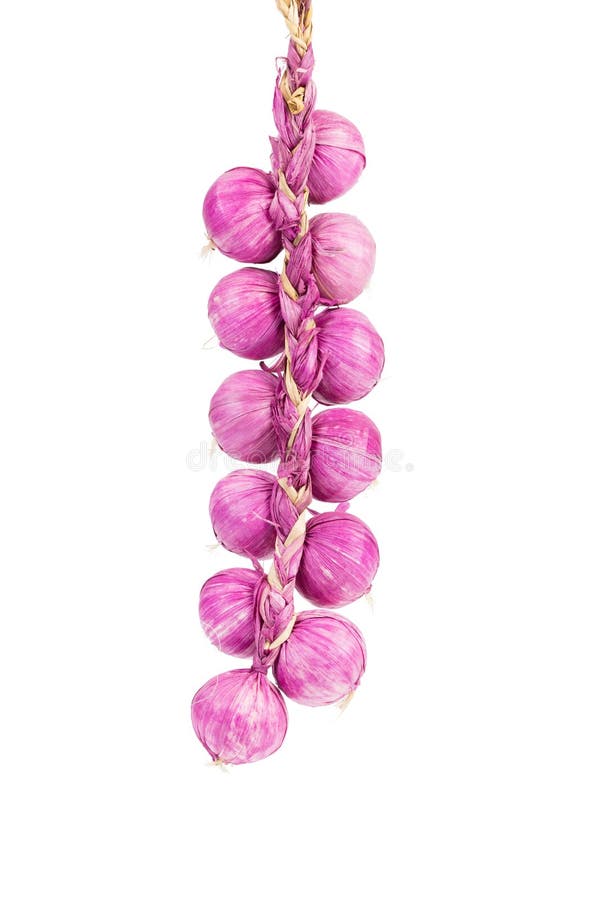 Artificial Plait of Red Onions. Stock Image - Image of healthy, fresh ...