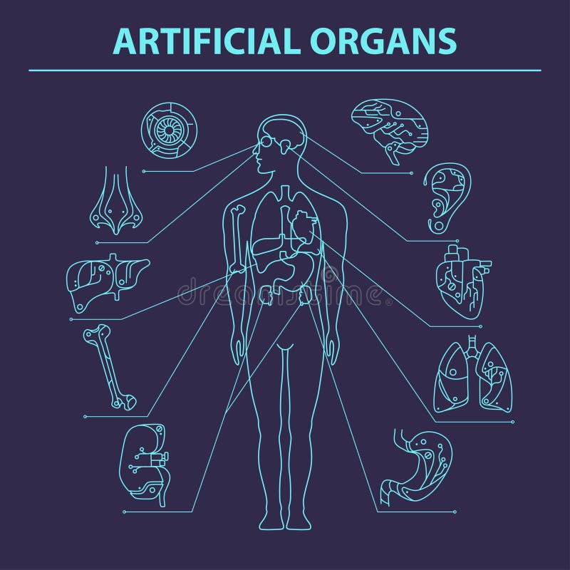 Artificial organs poster stock vector. Illustration of poster - 79709181