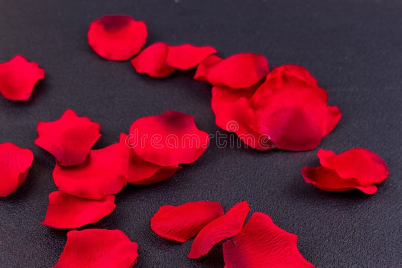 Red Rose Petals Black Background
