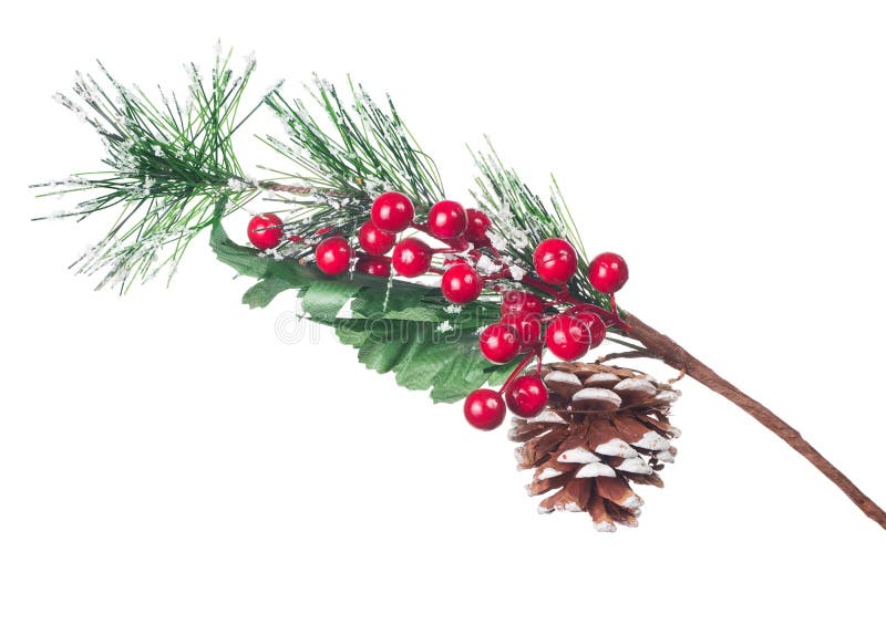 Artificial Pine Branch with Cone and Red Berries Stock Image - Image of ...