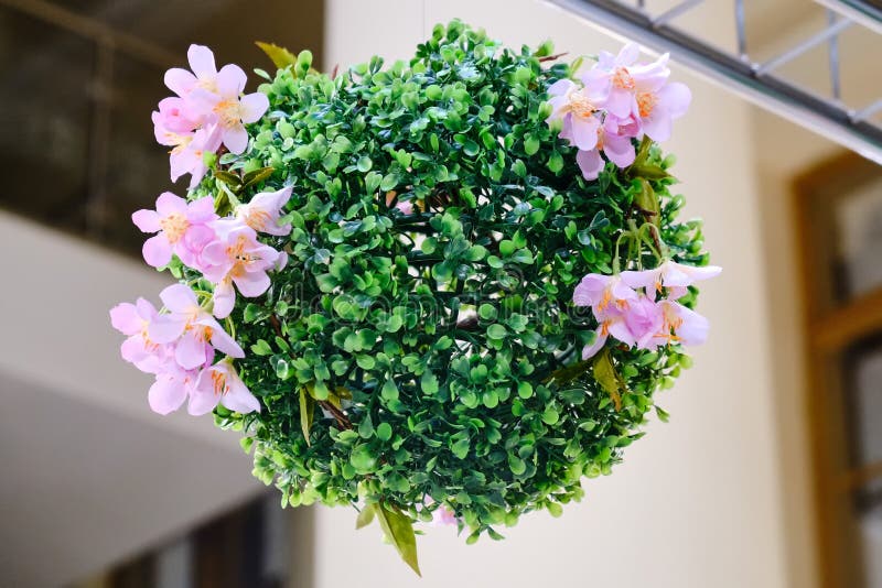 Artificial Plant Round Shape with Pink Flowers Stock Photo - Image of ...