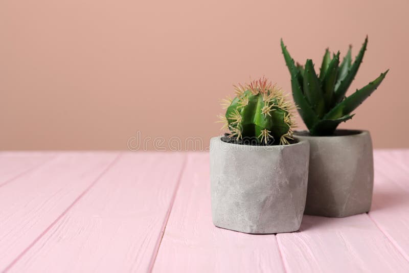 Artificial Plants in Cement Flower Pots on Pink Table. Space for Text ...