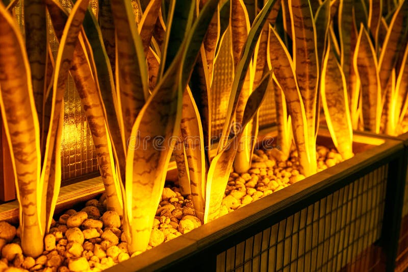 Artificial Plants with Yellow Plants in the Interior. Stock Image ...