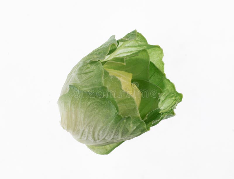Artificial Plastic Cabbage Isolated on White Stock Image - Image of ...