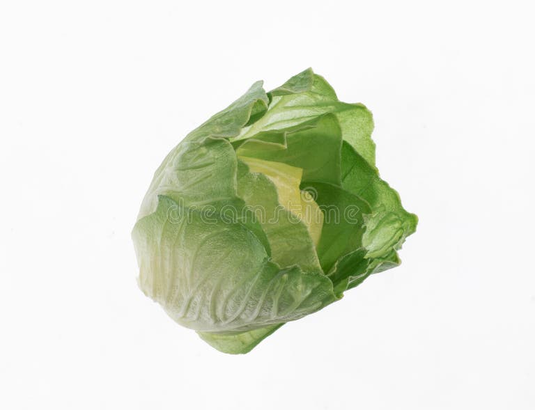 Artificial Plastic Cabbage Isolated on White Stock Image - Image of ...