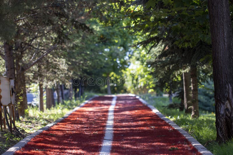 Artificial Plastic Material Covered Jogging Track, Road in Red Color ...