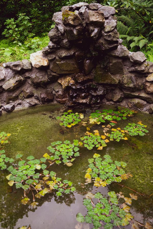 Artificial Pond with Water in the Park. Stock Image - Image of rock ...