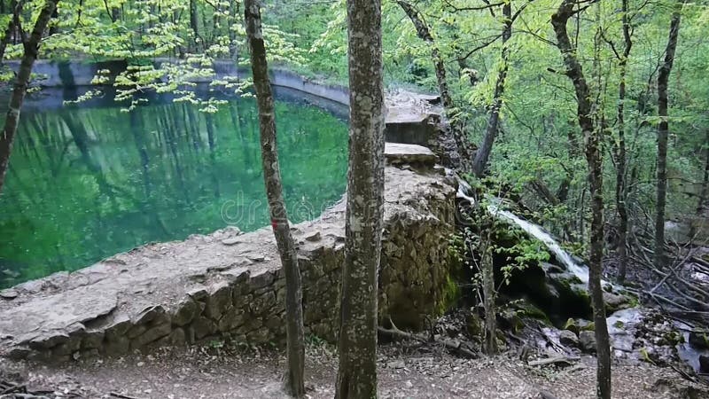 Artificial Pond Filled with Mountain Spring Water in a Forest Stock ...