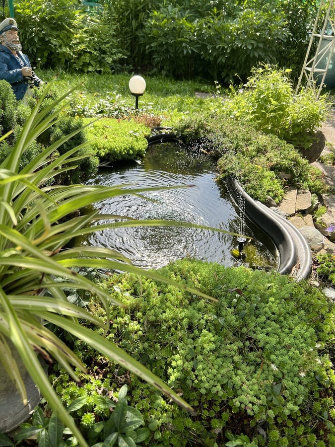 Artificial Pond with Willow Garden Stock Photo - Image of vegetation ...