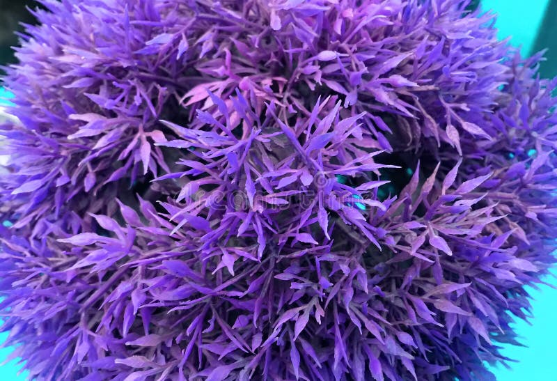 Artificial Purple Plastic Bush Stock Image - Image of plant, fake ...