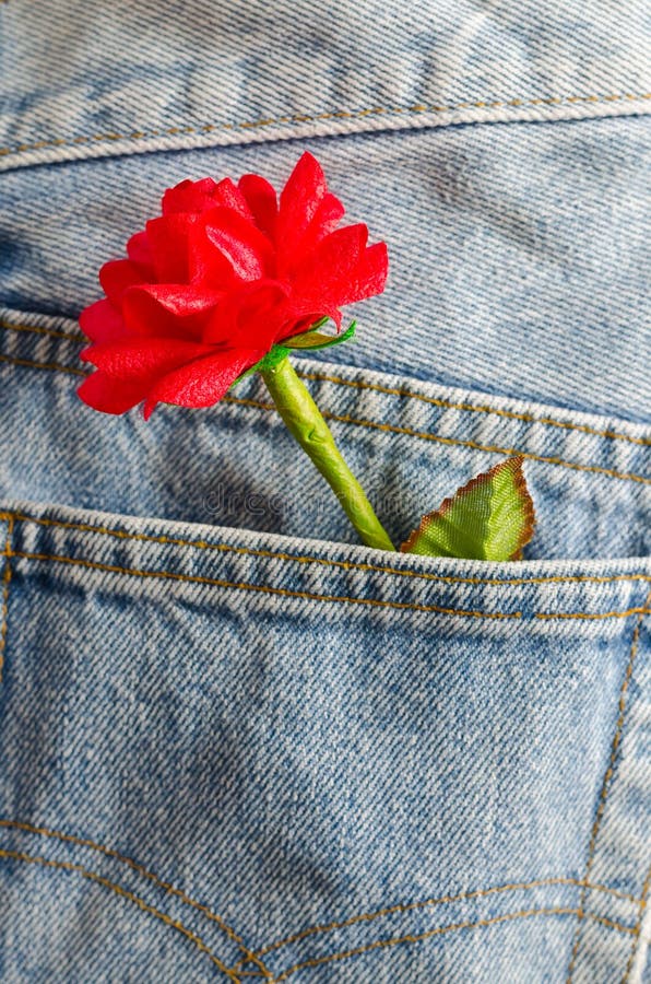 Artificial Red Rose in Blue Jeans Pocket Stock Photo - Image of color ...