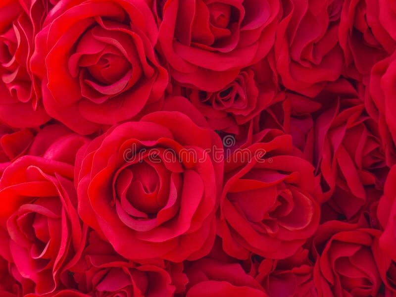 Rosed Texture Stock Photos - Free & Royalty-Free Stock Photos from ...