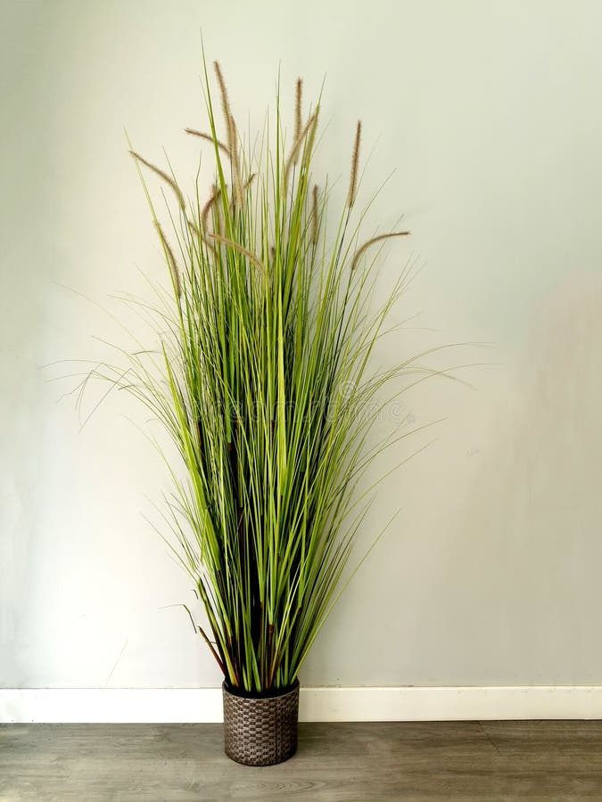 Artificial Reed Bush for Decoration Stock Photo - Image of reed, fake ...