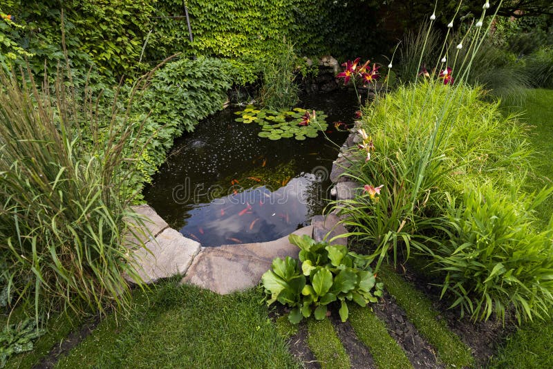 Artificial Reservoir with Fresh Water among Shrubs Stock Image - Image ...