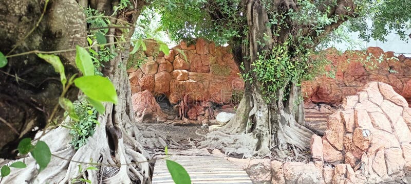 Artificial Rocks and a Pair of Twin Trees Stock Image - Image of ...