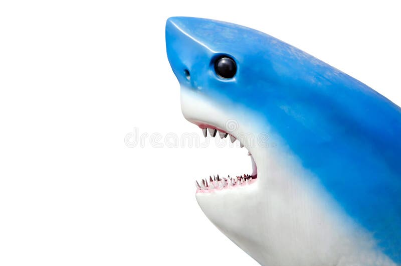 Shark head stock photo. Image of panoramic, leaves, panorama - 53495308