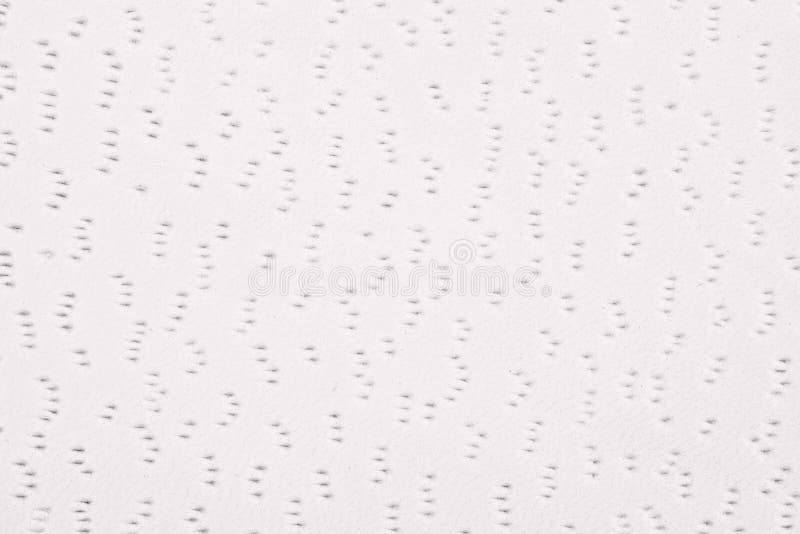 Artificial Shoe Insoles Leather Texture Stock Photo - Image of ...