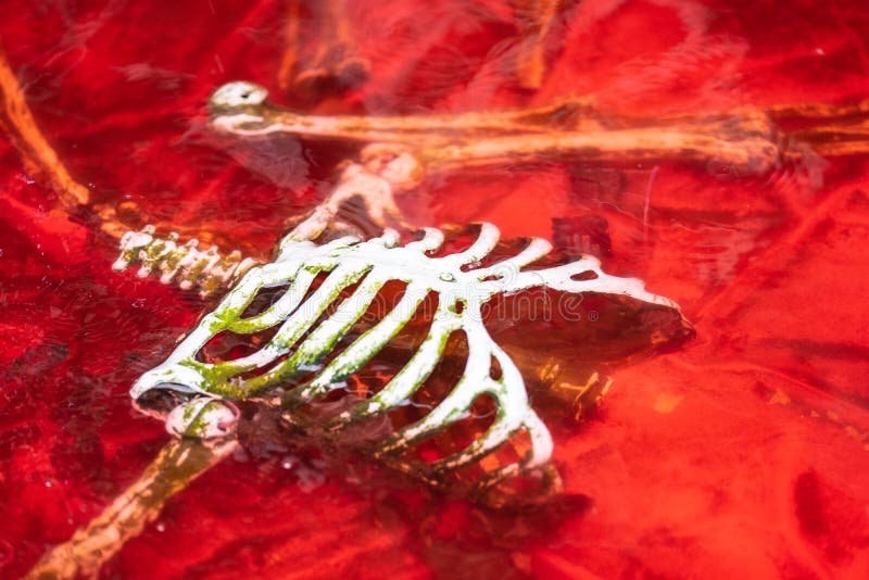 Artificial Skeleton and Bones Floating in Pool Full of Blood.Halloween ...