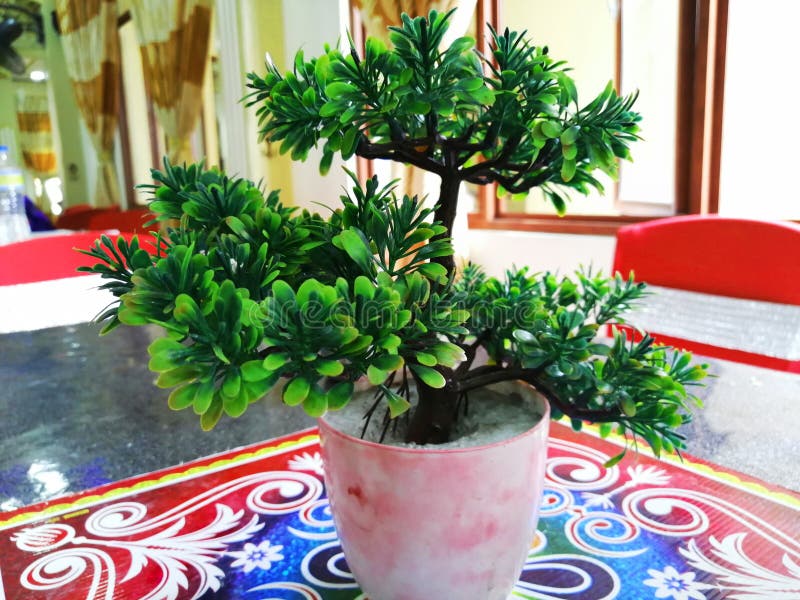 The Artificial Small Green Plant Stock Photo - Image of element ...