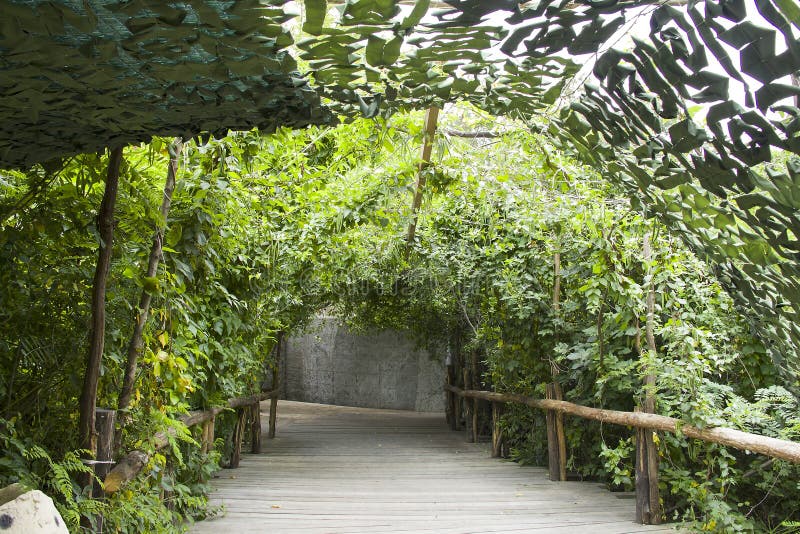 Artificial small path stock image. Image of wood, park - 47314839