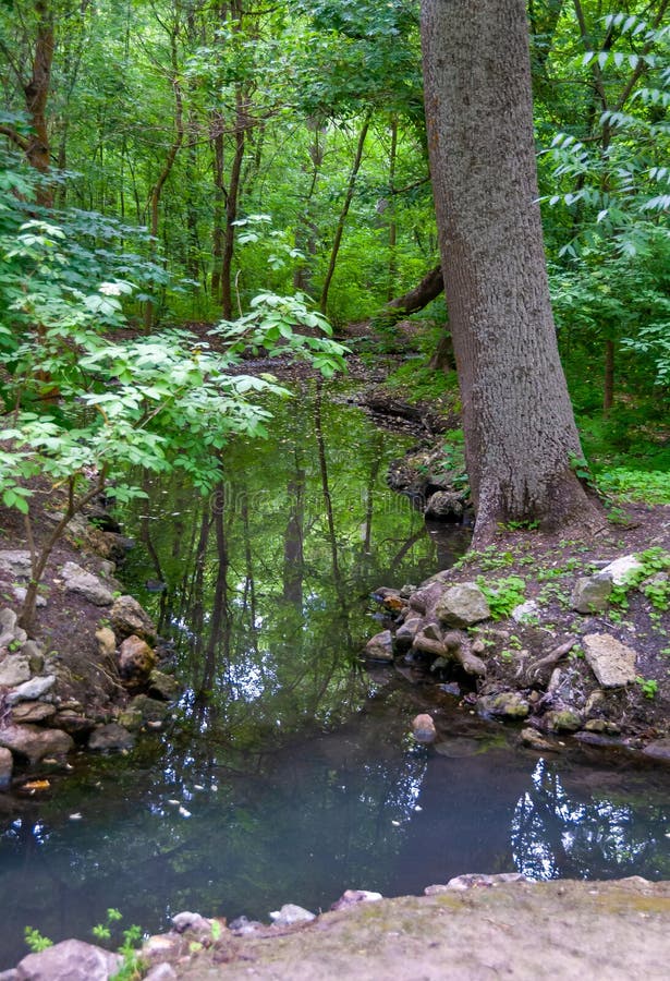 Artificial Small River in the Park Under the Trees, Askania-Nova ...
