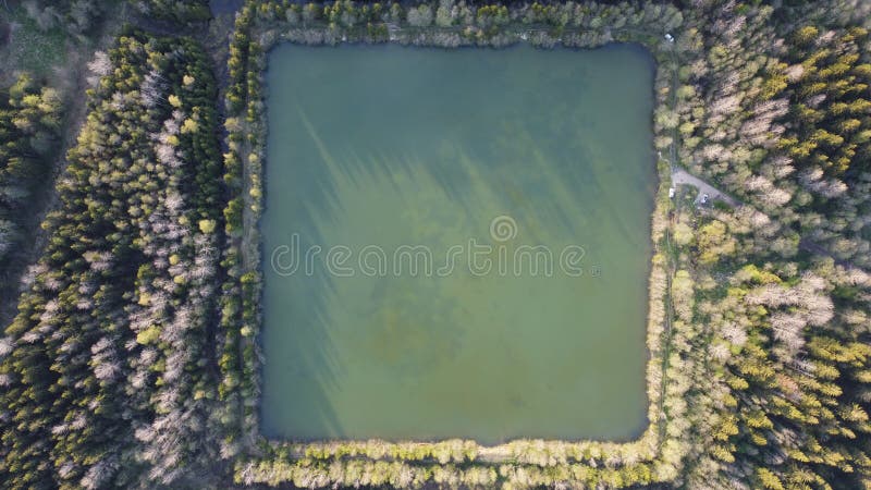 Artificial Square Pond Aerial Photo on a Summer Day Stock Image - Image ...